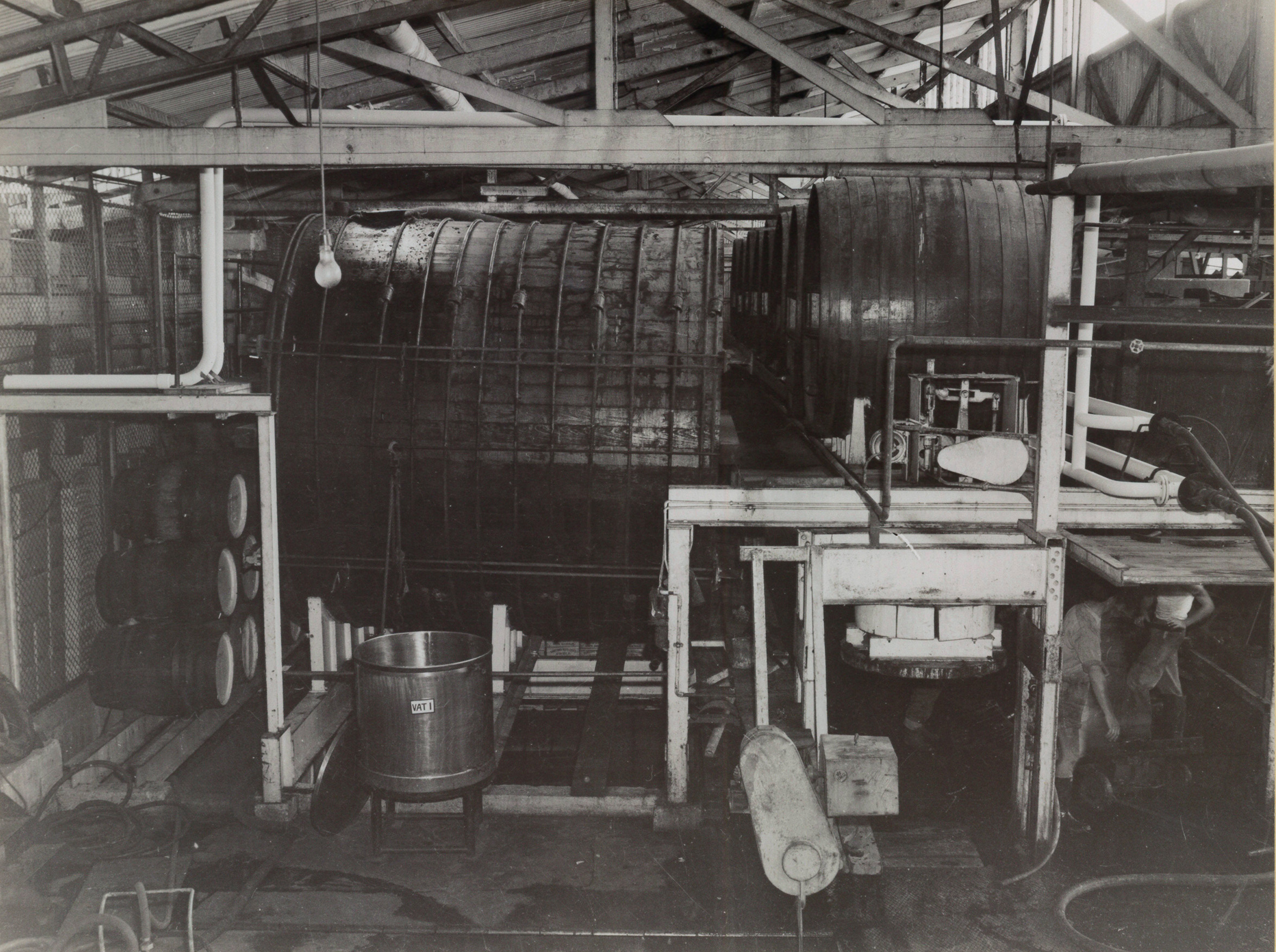 Hamilton's Ewell Vineyards : Image Bank